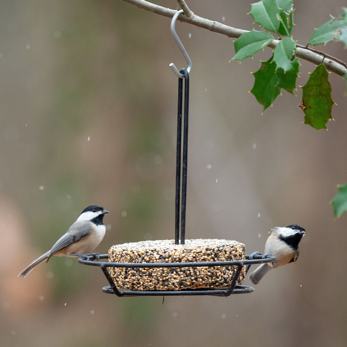 Harvest Seed & Supply Snack Stack Feeder - Edwardsville, IL - Alton, IL ...