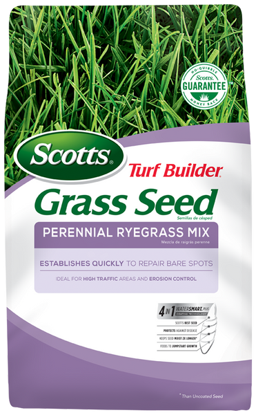 Scotts turf builder grass seed store